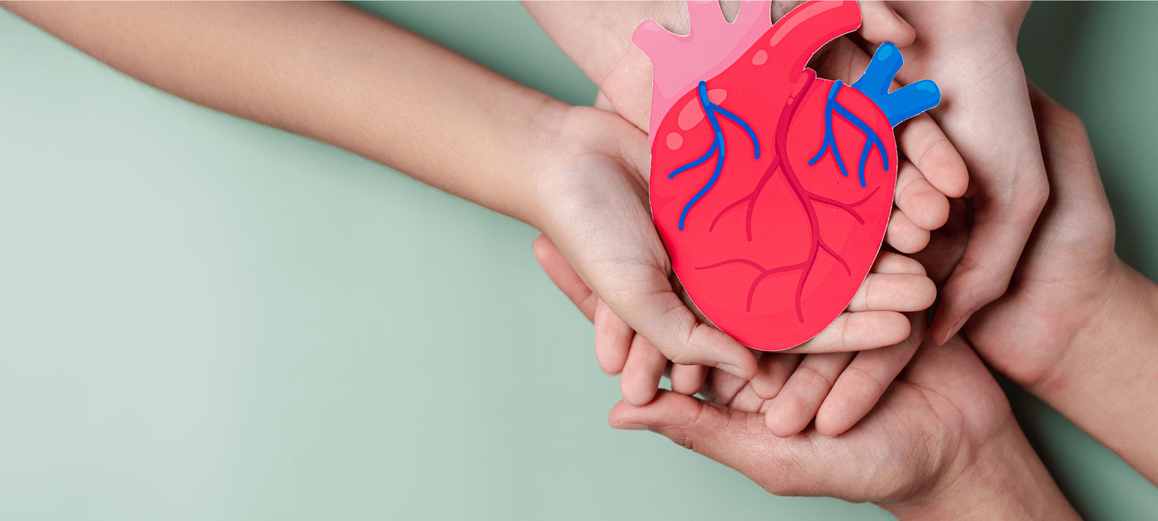 Latest Heart Attack Prevention Tests | Bluff Road Medical